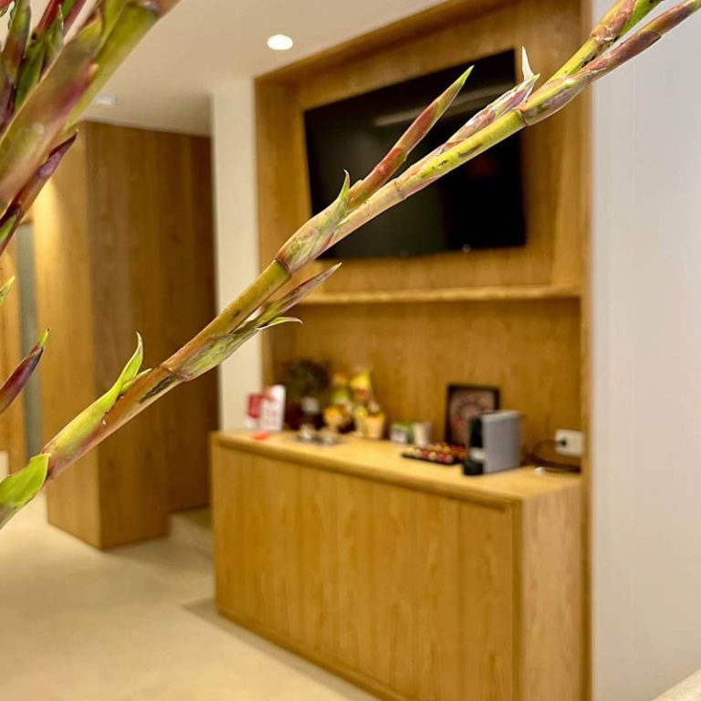 Clínica – Daniela Sallaberry